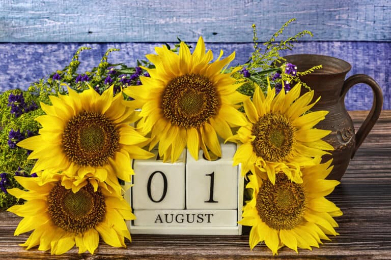Free August Calendar Printable (2026): Organizing Your Month Right