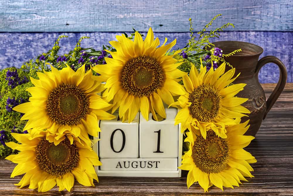 August Images August Images
