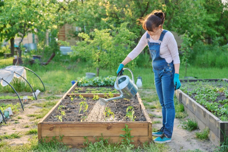 DIY Raised Garden Beds: Build Your Own Garden Easily